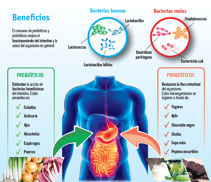 Alimentos funcionales: prebióticos y probióticos